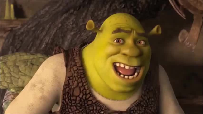 Shrek and Donkey's Awkward Conversation - Coub