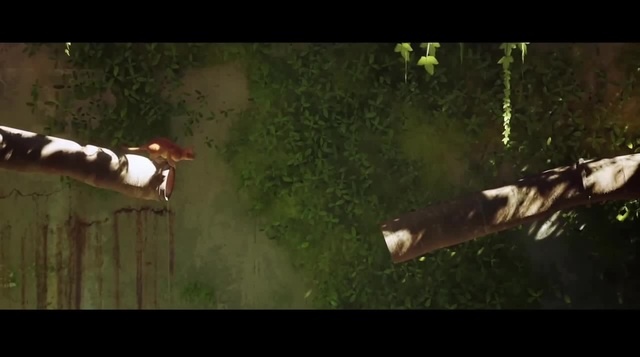 cat kitty cat cat kitty cat cat - Coub