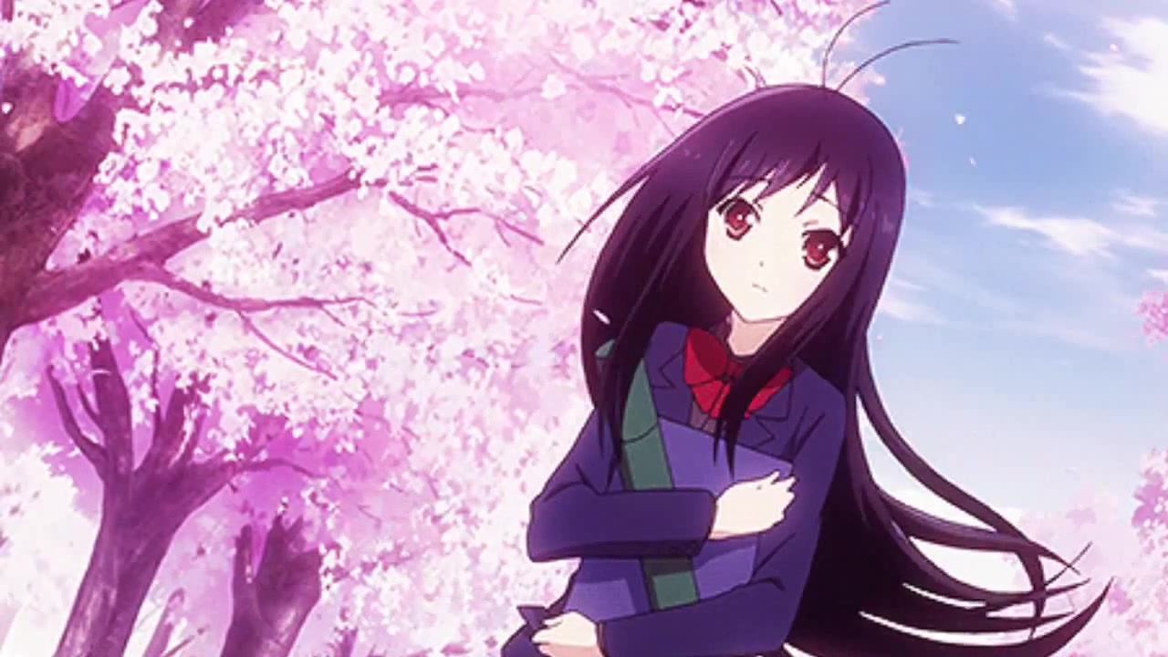 Nightcore - Sakura - Coub