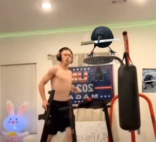 be like a crow: CAW!! CAW!! CAW!! winners' morning routine - Coub