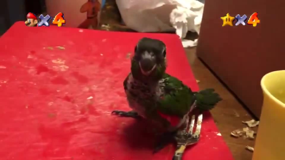 Super bird 64 - Coub