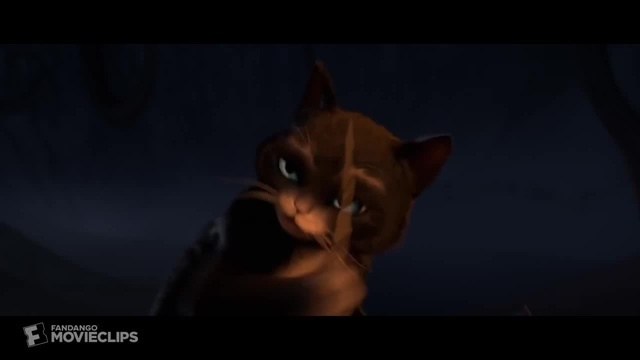 Rambunctious Kitty Softpaws - Coub