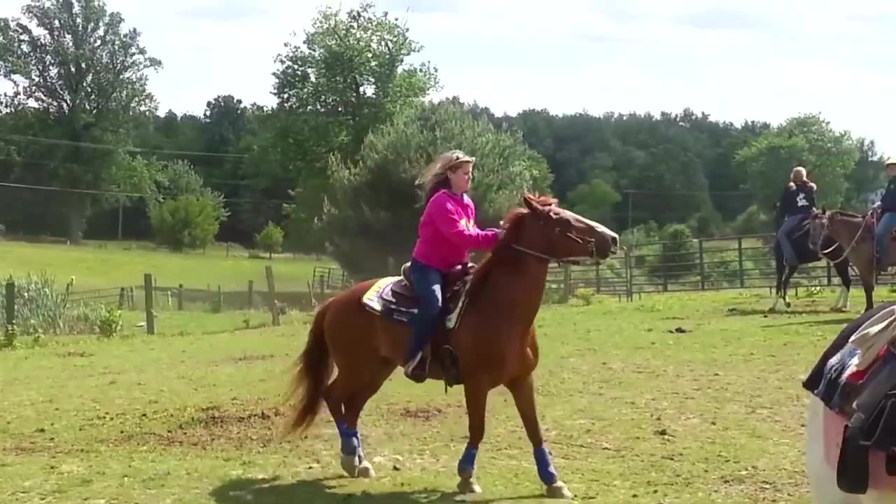 Proper John Cena Horse Backflip - Coub