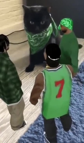 Grove street cats forever - Coub