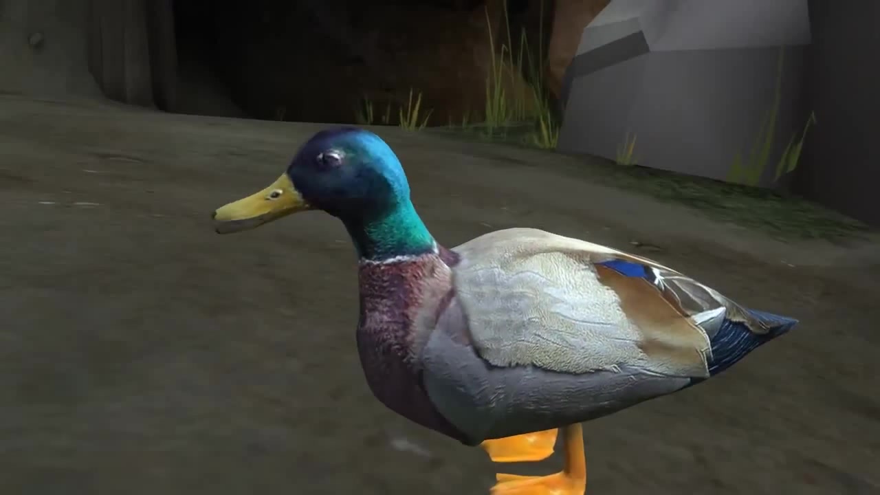 [SFM] Duck.exe has stopped working - Coub