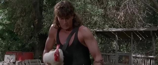 Chicken Arrow - Coub