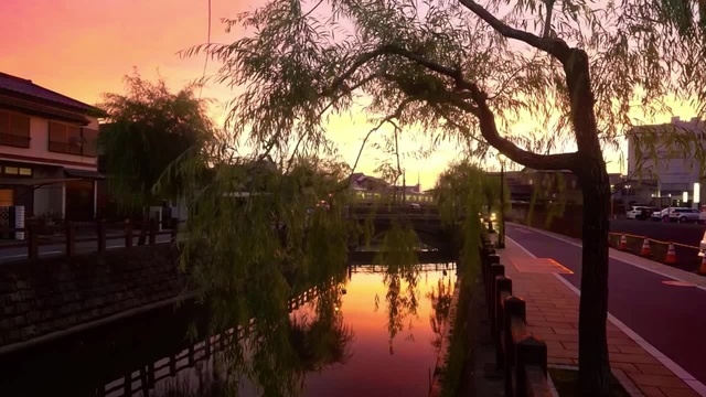 Kyoto evening. - Coub