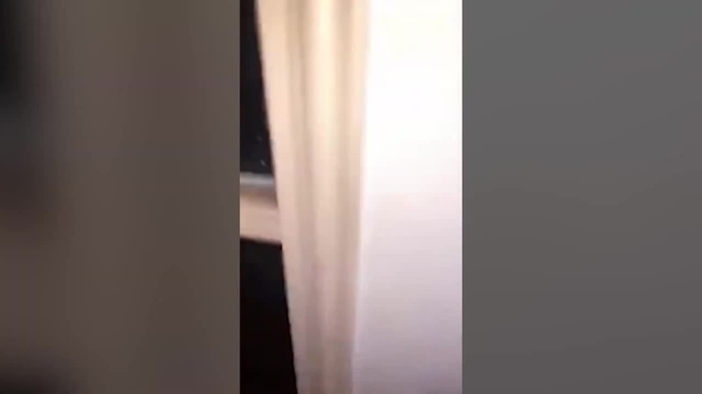 come on, i want to shit - Coub