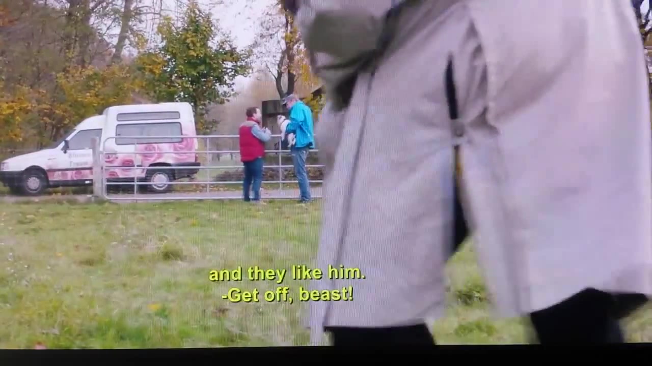 Look who's back dog - Coub