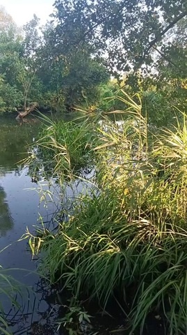 Как дела? ( отрывок из you tube) - Coub