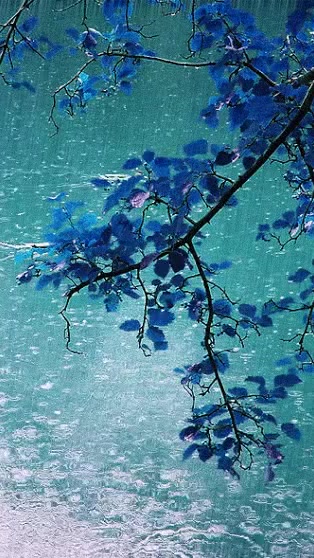 Alone in the dark ( Music Box ) - Coub