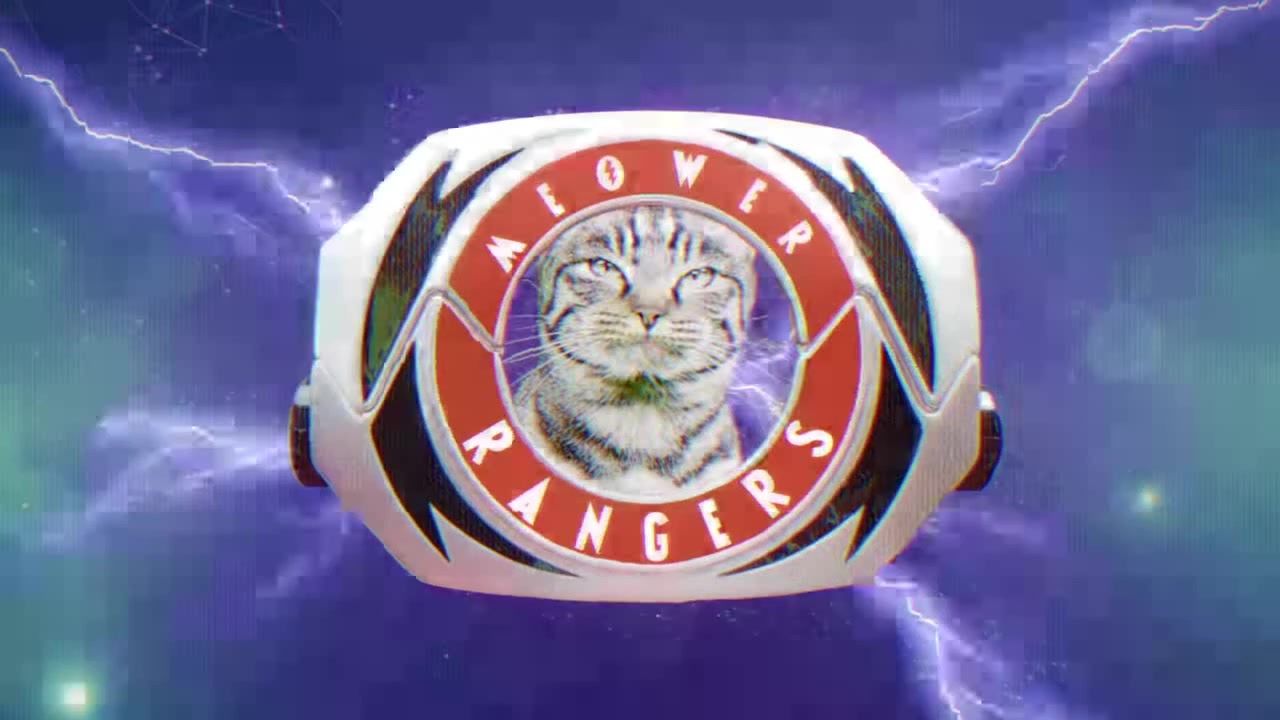 Meow meow Rangers (go go power cats) - Coub