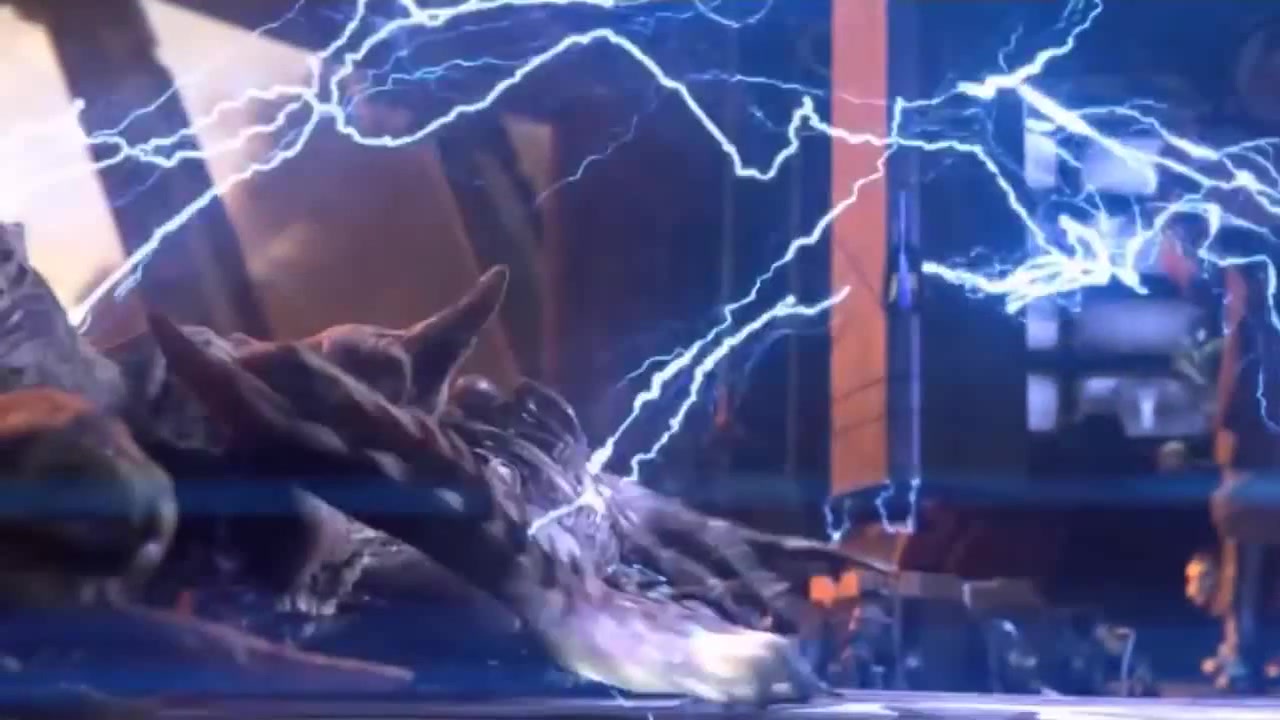 Kerrigan Electrocution - Coub