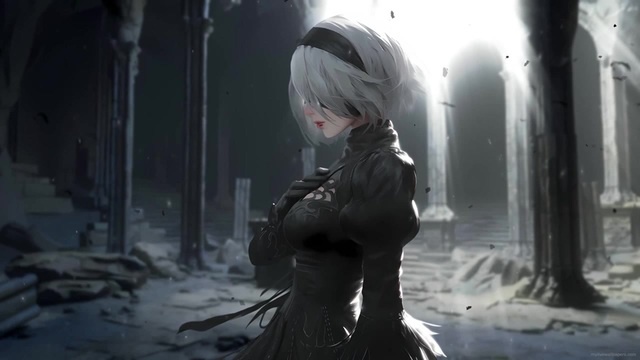 2B - Coub