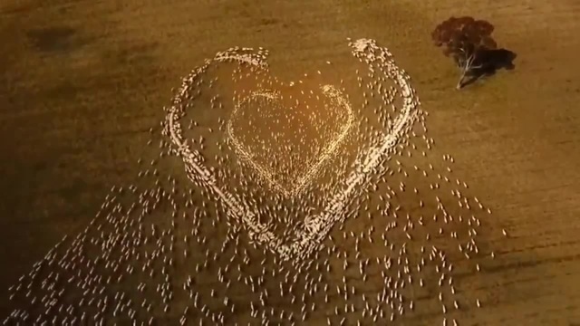 Atlantistia 610 - Coub