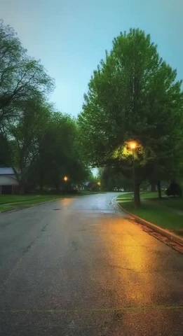 Дождливое лето| Rainy summer - Coub