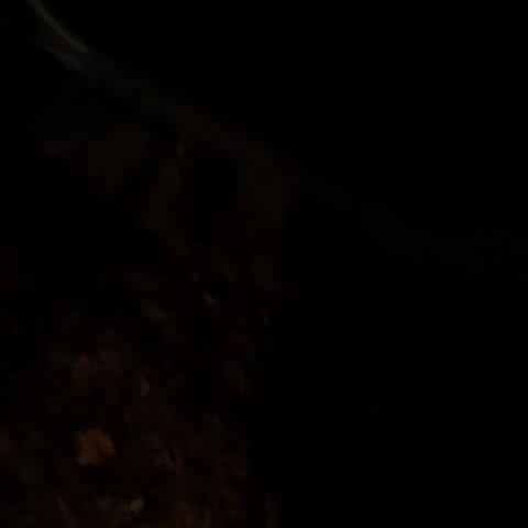 From the bottom of the door it was a 3 foot drop! - Coub