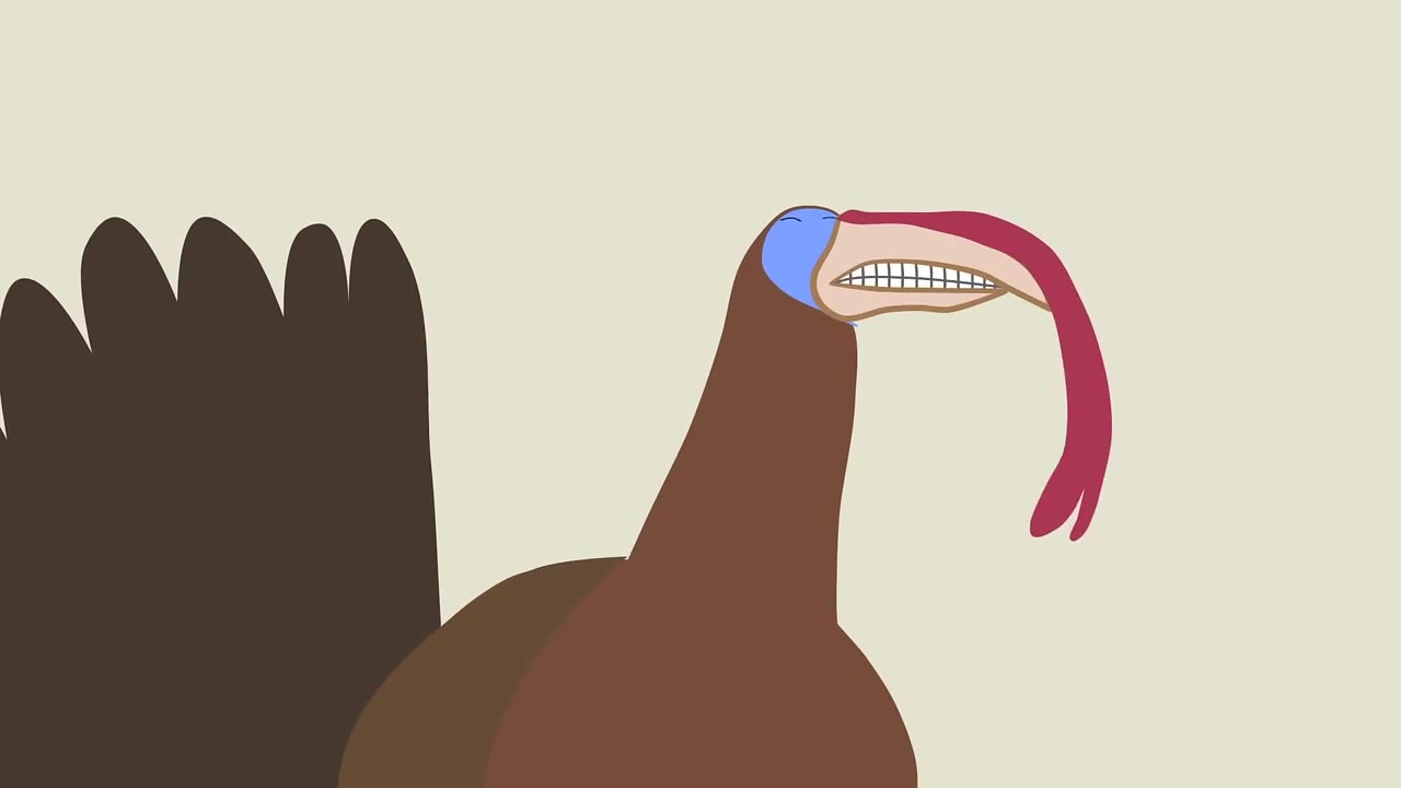 TURKEY DUBSTEP - Coub