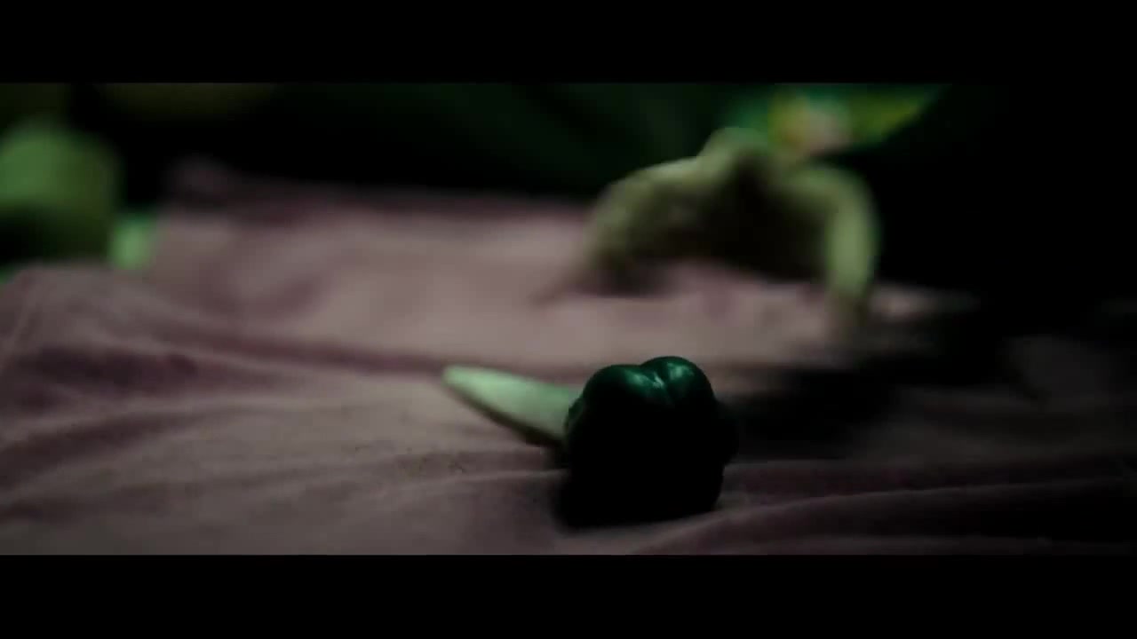 Turkey Baster Scene - Coub