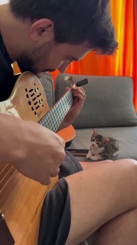 How little must my kitten know - Coub