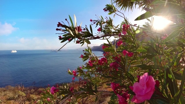 Following The Ocean Breeze - Coub