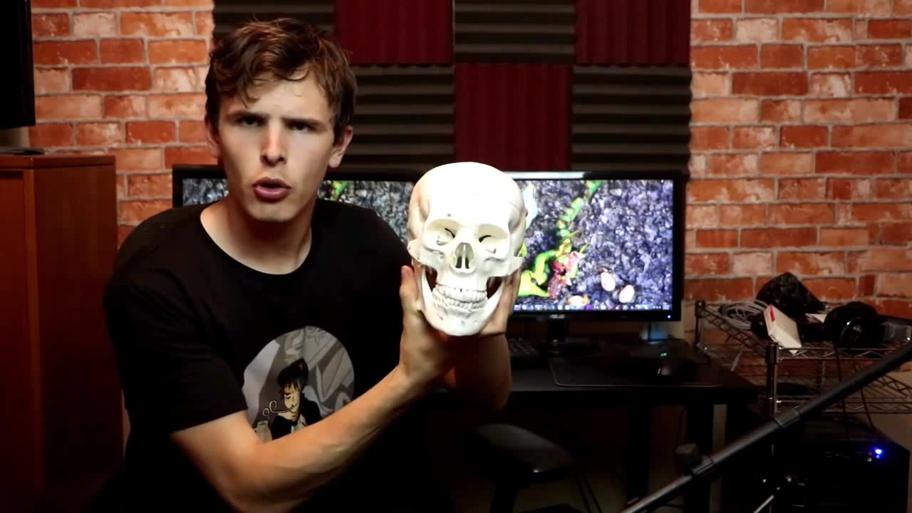 idubbbzTV leafy skull - Coub