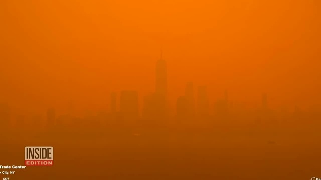 Smoke Everyday - Coub