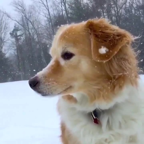 Romantic (song: Kastyell - Cry me a river) - Coub