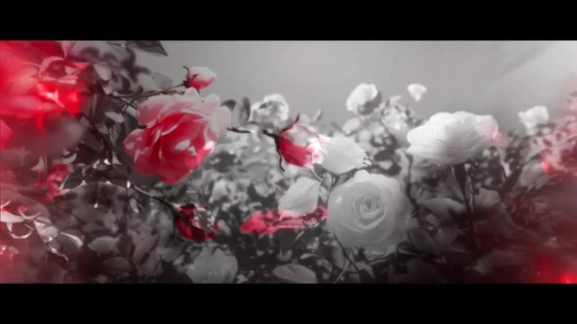 Lost in Purgatory - Coub