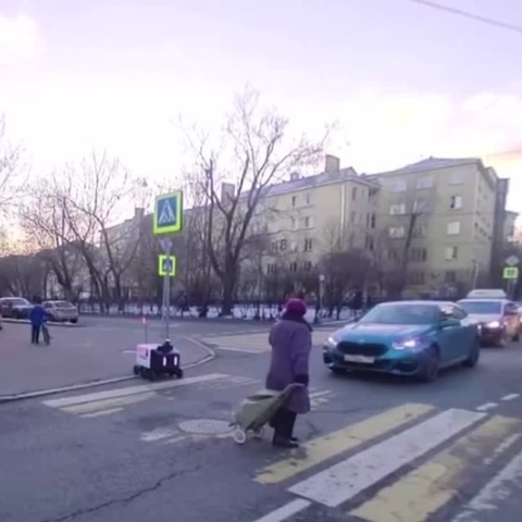 grandma helps skynet - Coub