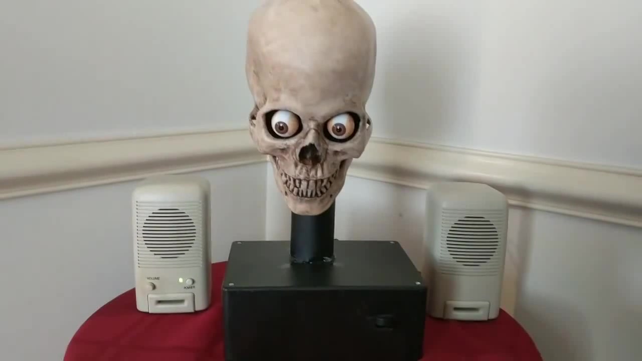 Alexa Skull - Coub
