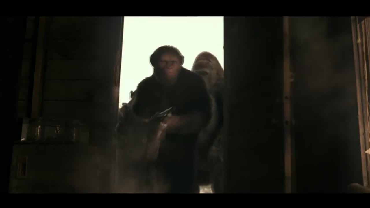 Inopportune moment - Coub