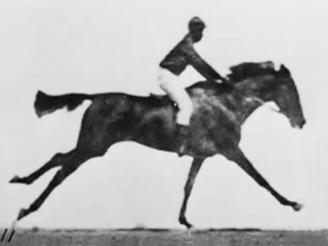 Race Horse First Film Ever 1878 Eadweard Muybridge - Coub
