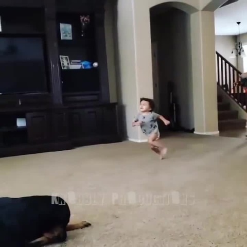 Nerf War is Hell - Coub