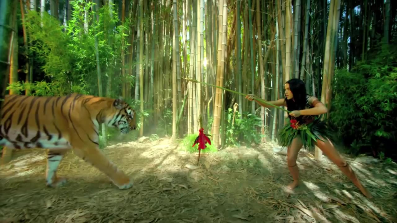 Katy Perry Roar - Coub