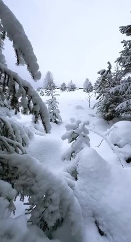 Зима | Winter - Coub