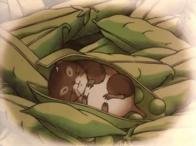 On a pea pod (song: Alluniar - Rain) - Coub