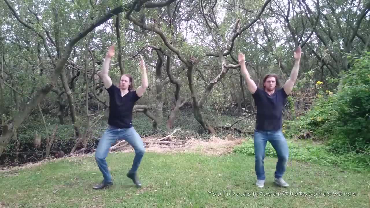 Fusion Gone Wrong 2 - Coub