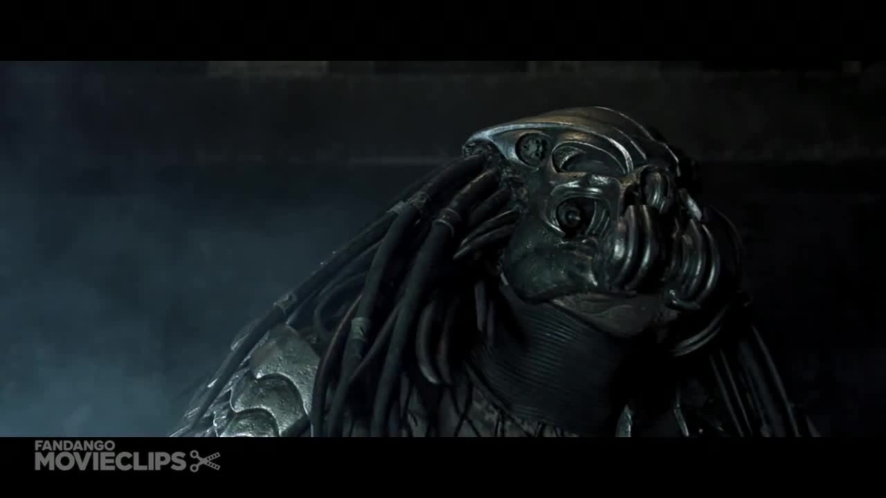 Predator vision - Coub