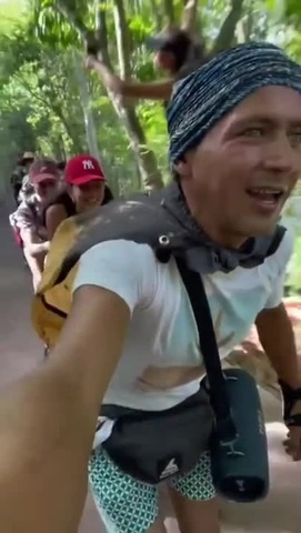 What could go wrong? - Coub