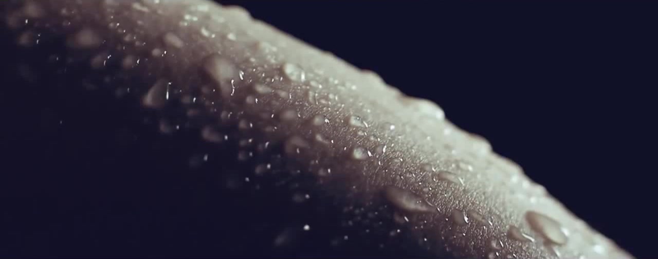 Moby - Be The One (Destroyed) - Music Video HD - Coub