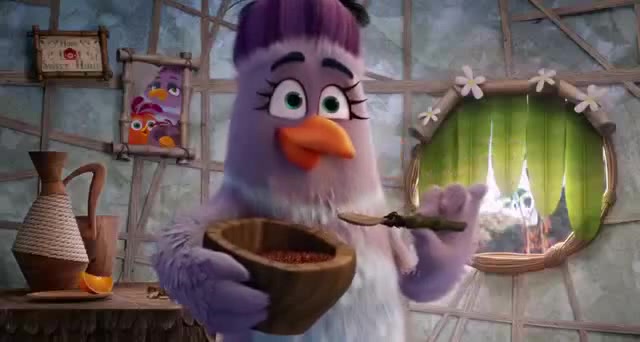 Feeding Birds - Coub