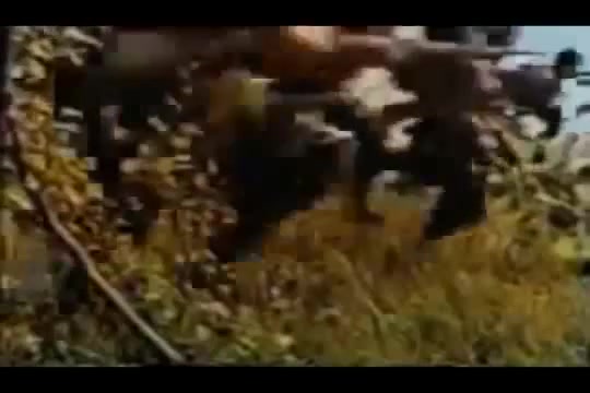 Erika - famous german marching song of WW2 - Coub