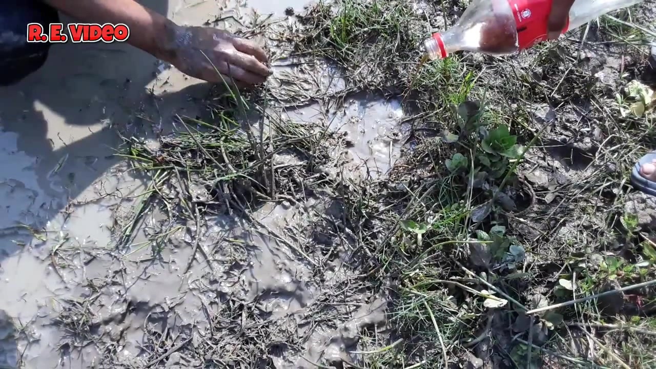 Amazing Coca Cola Fishing Coca Cola Fishing New Method Of Catching Fish ...