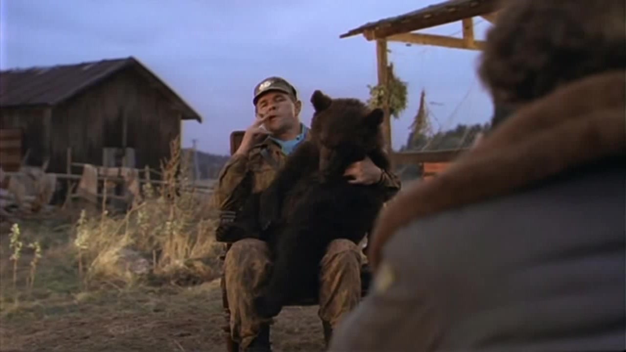 Russian Selfie 🐻 - Coub