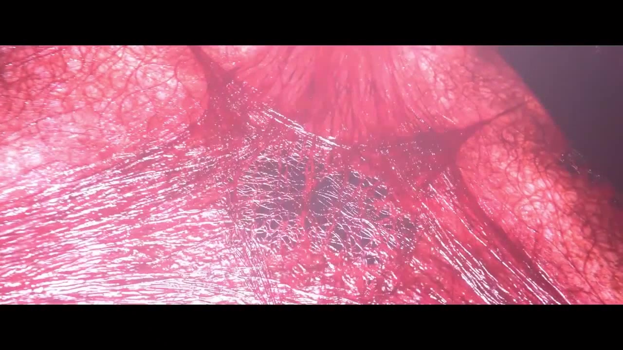 Procter & Gamble cinematic) - Coub