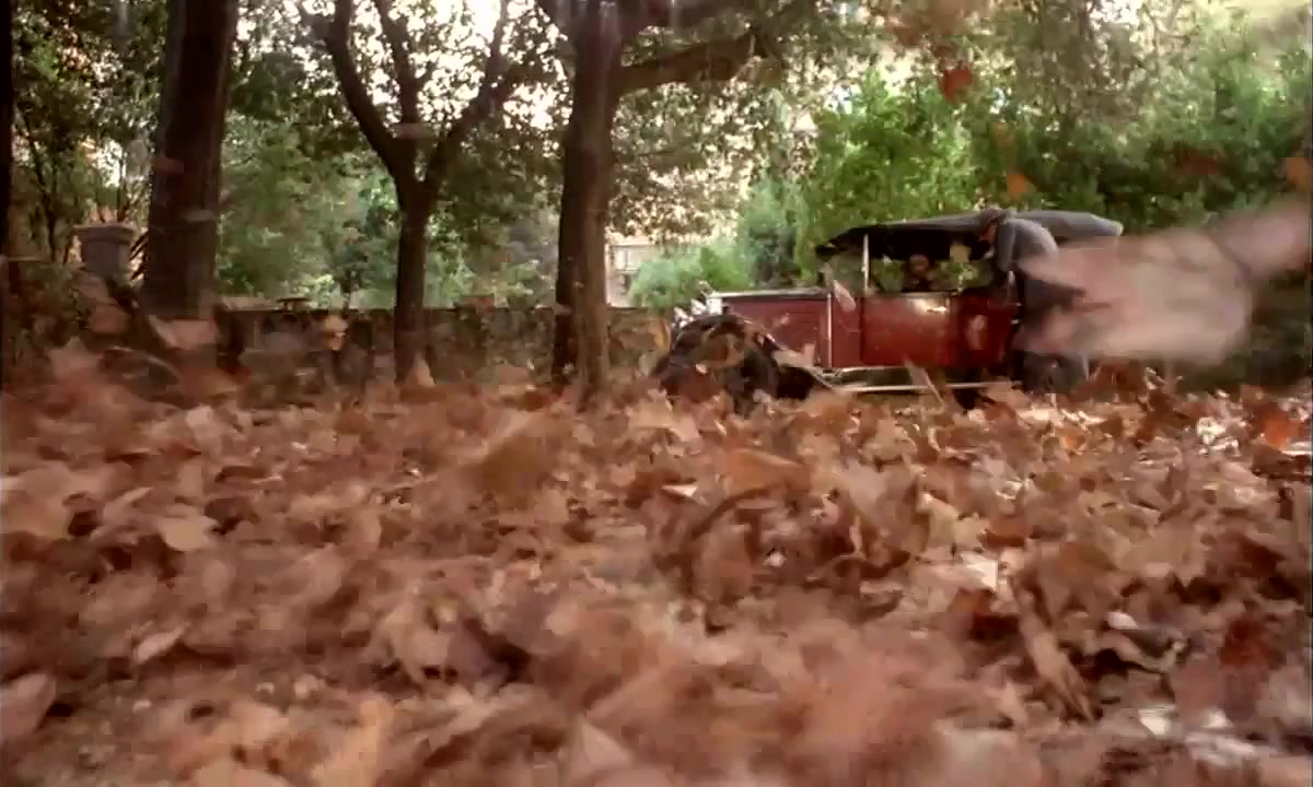 Autumn Leaves - Coub