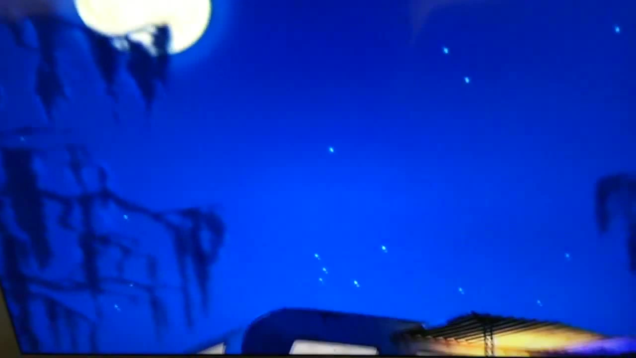 Monsters Inc. Another Gator - Coub