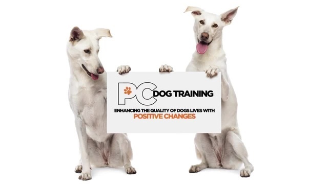 Positive Changes Dog Training - Coub