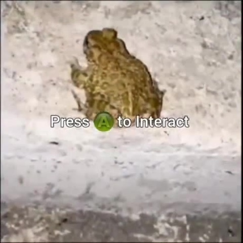 Press A to interact with Wednesday - Coub